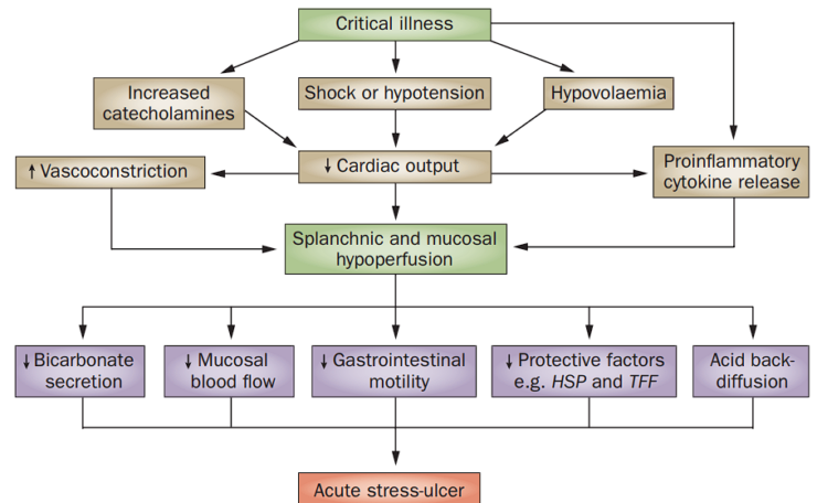 Revised Cardiac Risk Index (RCRI)