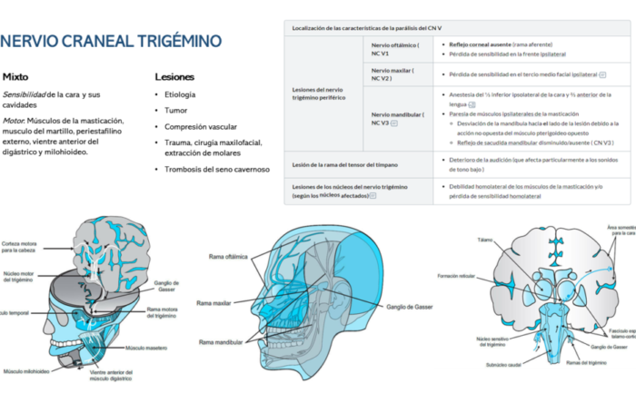 Tríada de Beck: Reconociendo el Taponamiento Cardíaco